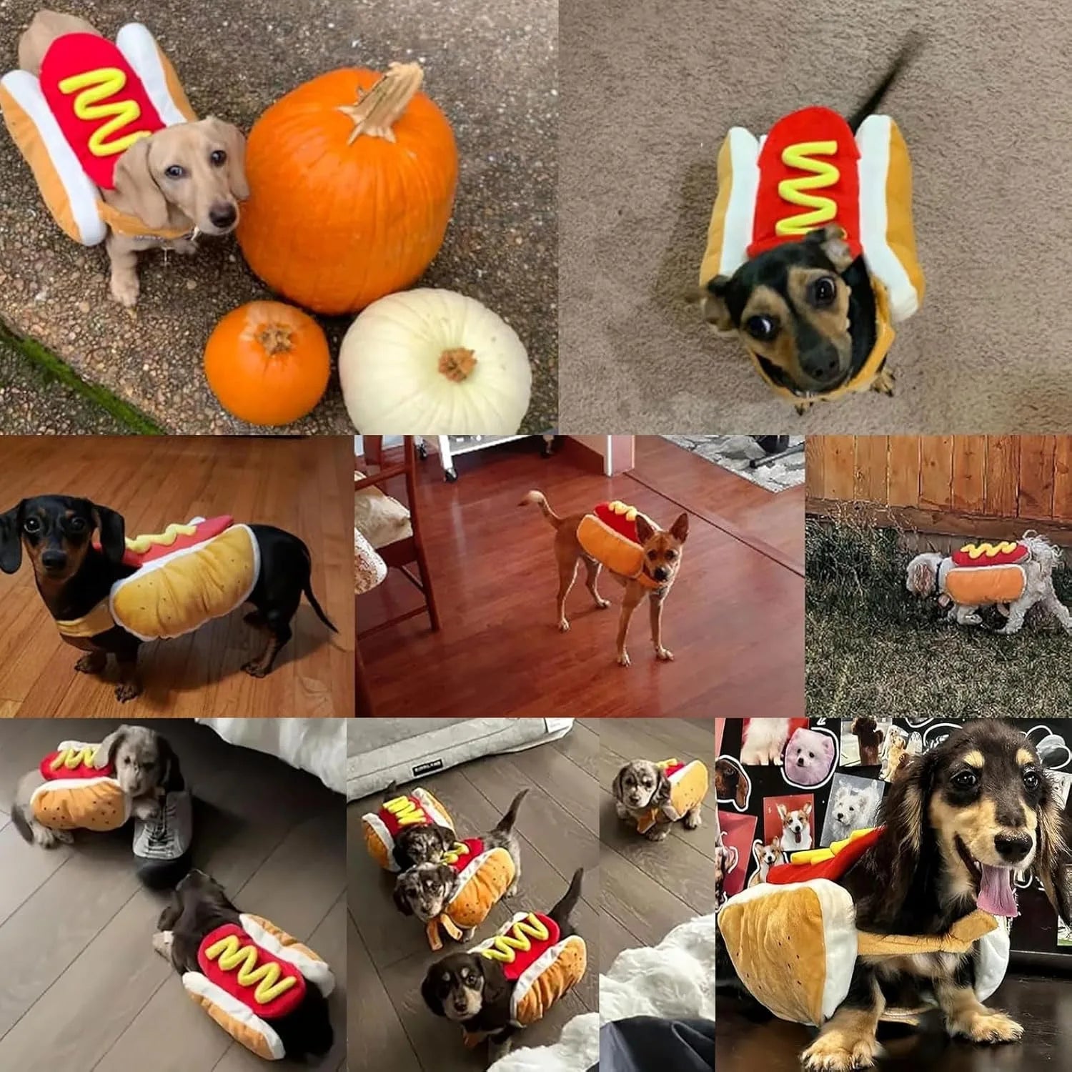 Royaleva Hot Dog Pet Costume – Funny Halloween Outfit for Dogs & Cats ...