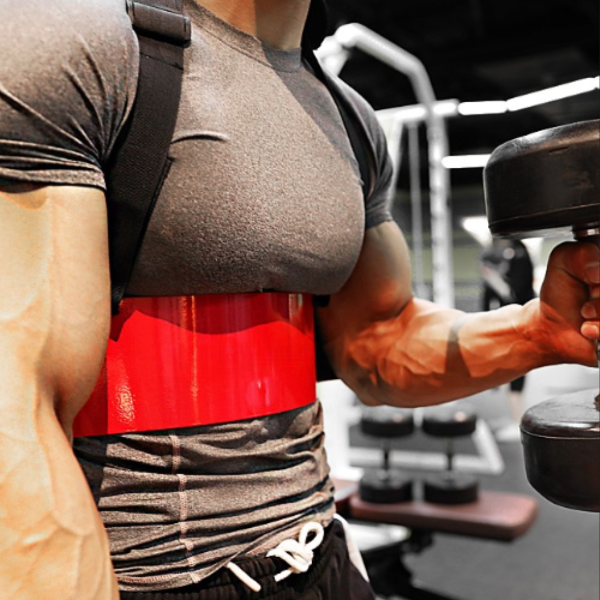 Royallure Arm Blaster for Bicep and Tricep Isolation Training, Lightwe ...